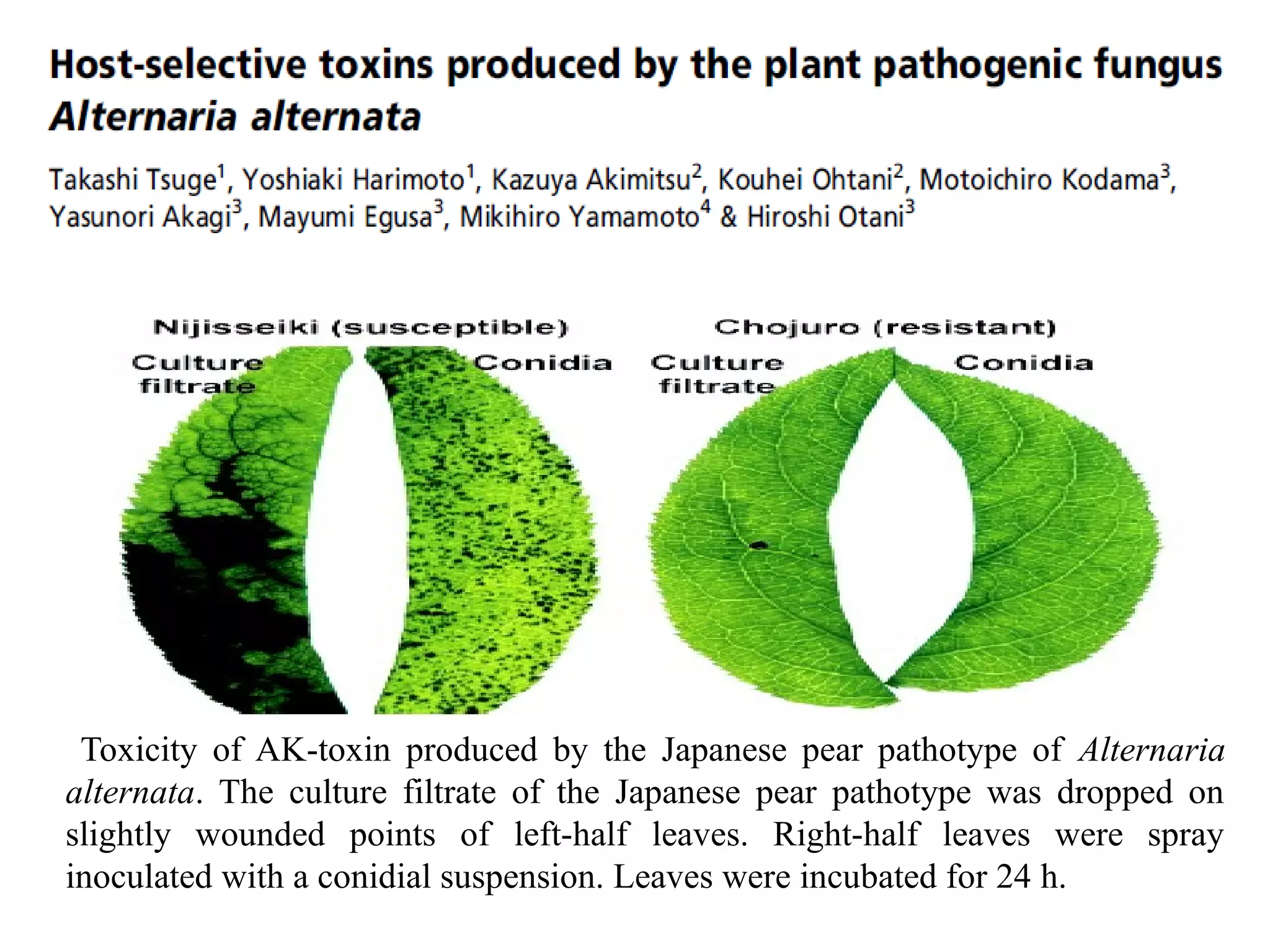 Role of Toxins in Plant Pathogenesis | PPT