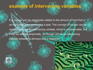 Neobehaviourism | PPT