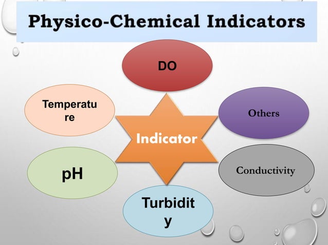 Ecological indicator( Bio indicator) | PPTX | Indoor Environmental ...