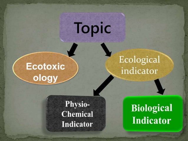 Ecological indicator( Bio indicator) | PPTX | Indoor Environmental ...