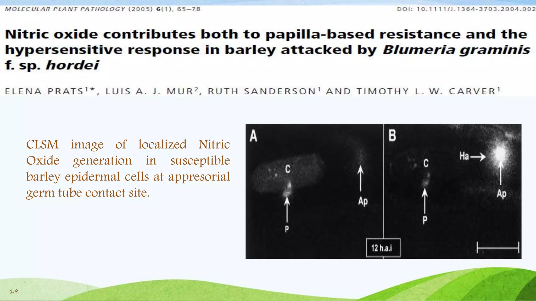 Cell Wall Associated Mechanisms of Disease Resistance & Susceptibility ...