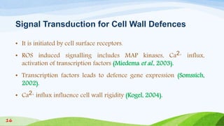 Cell Wall Associated Mechanisms of Disease Resistance & Susceptibility ...