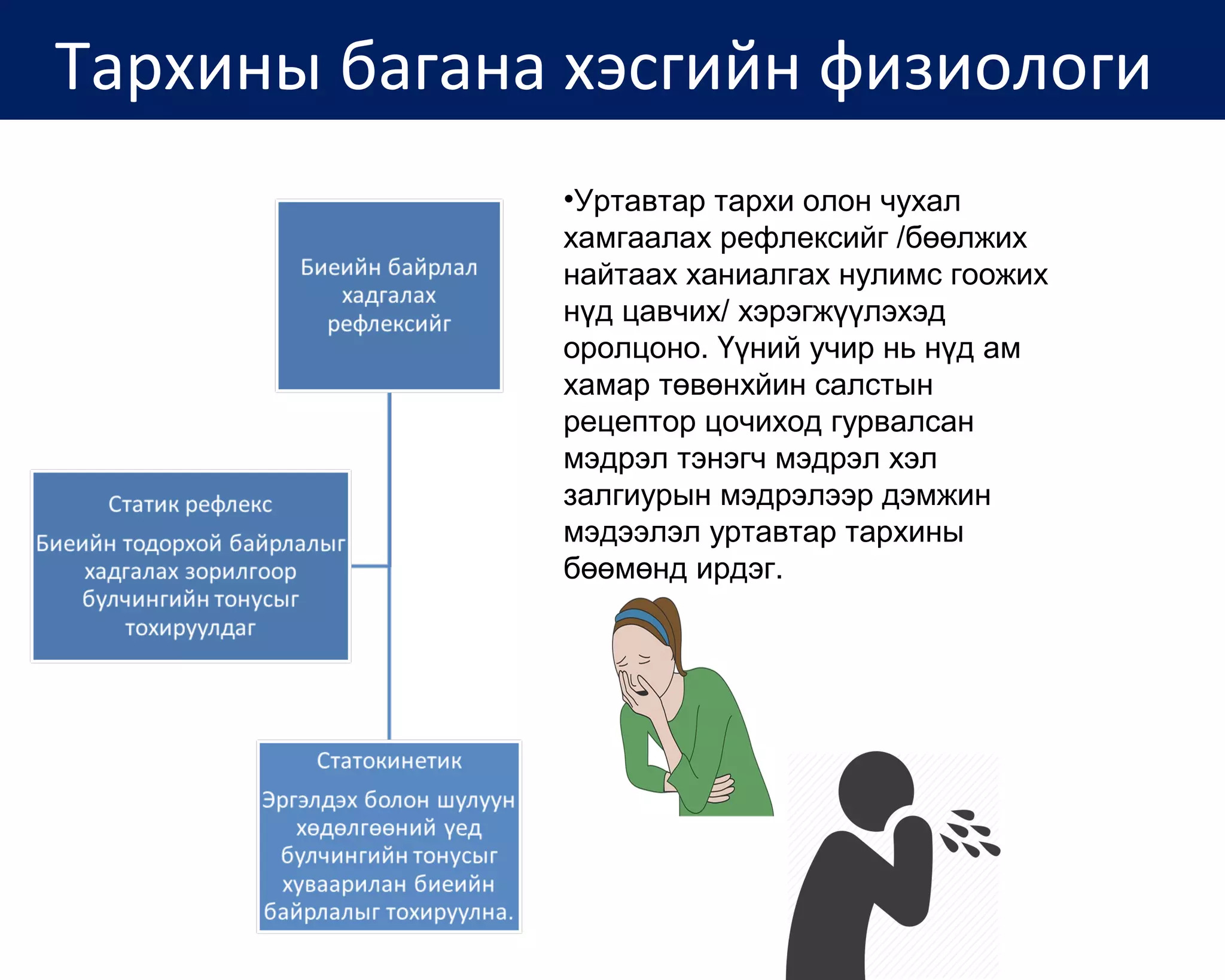 сэрэмтгий эсийн физиологи Ppt