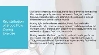 Physiological changes During Aerobic Exercise | PPTX