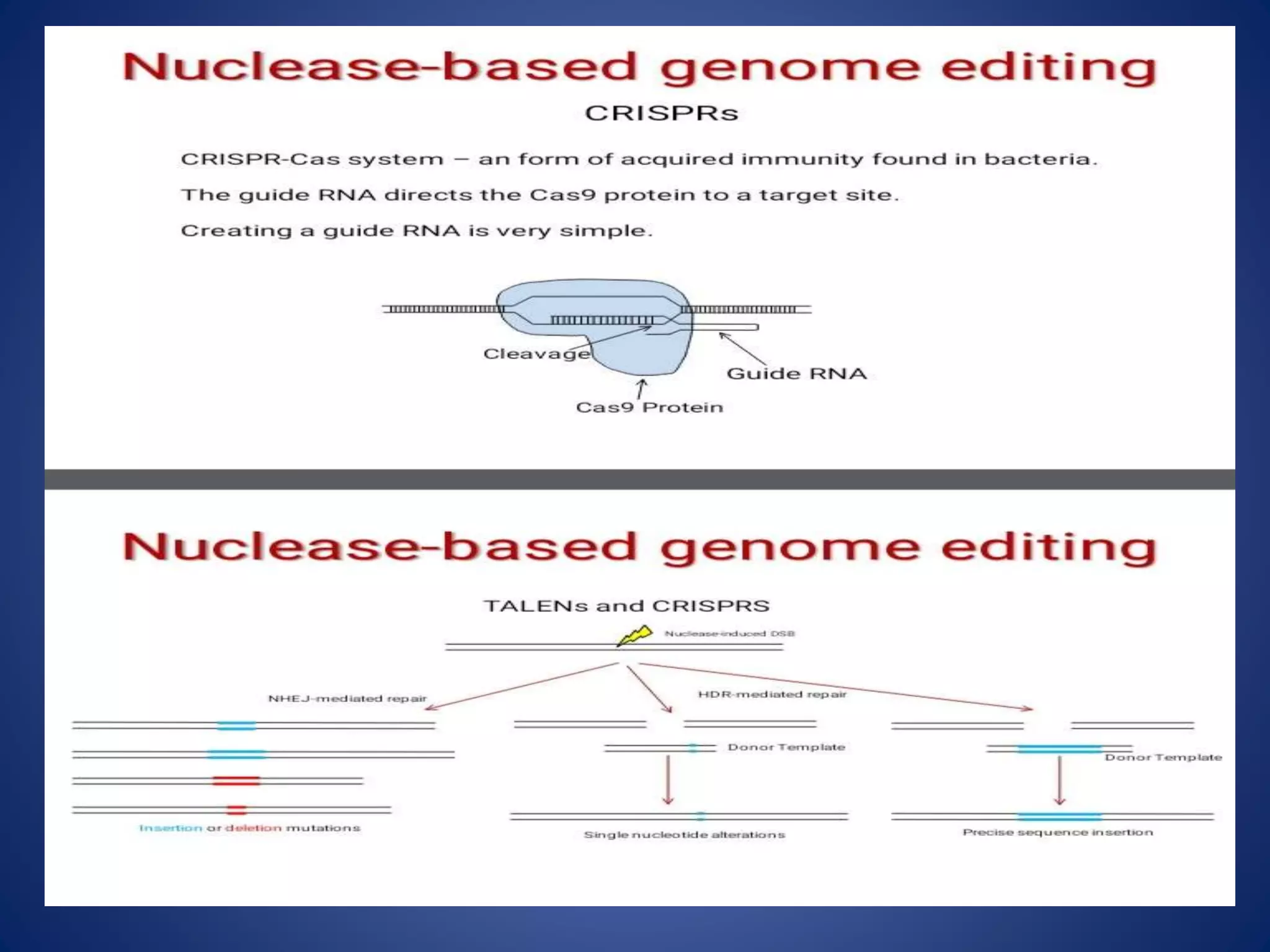 CRISPR/CAS9- THE GENE EDITING TOOL | PPTX