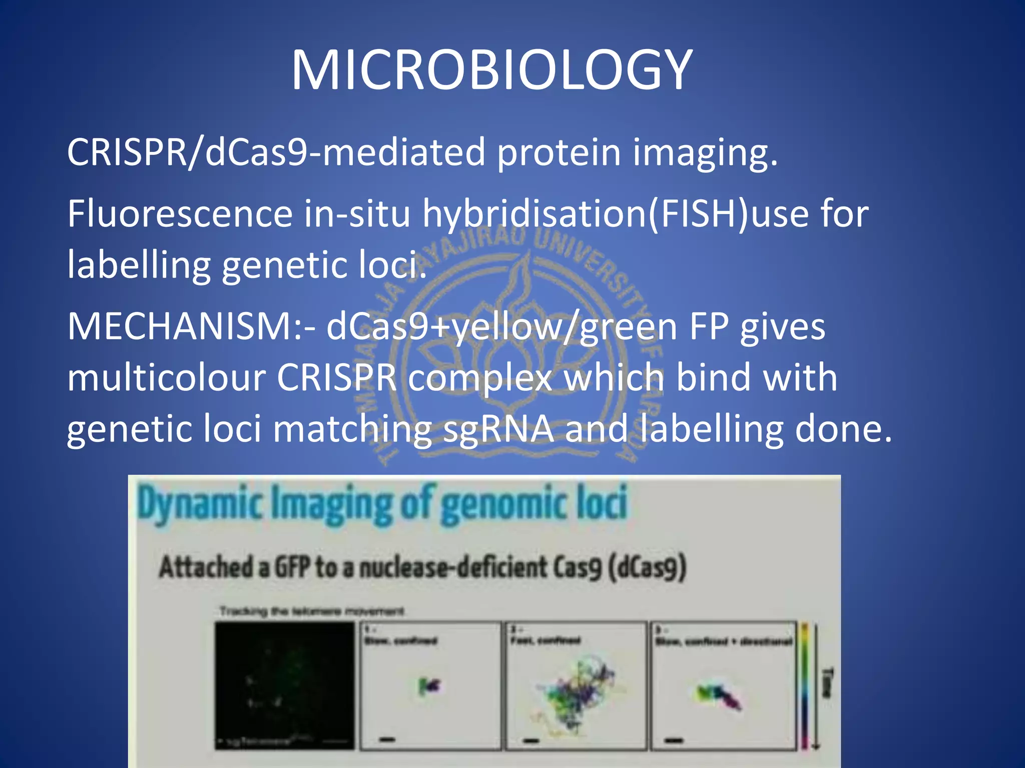 CRISPR/CAS9- THE GENE EDITING TOOL | PPTX