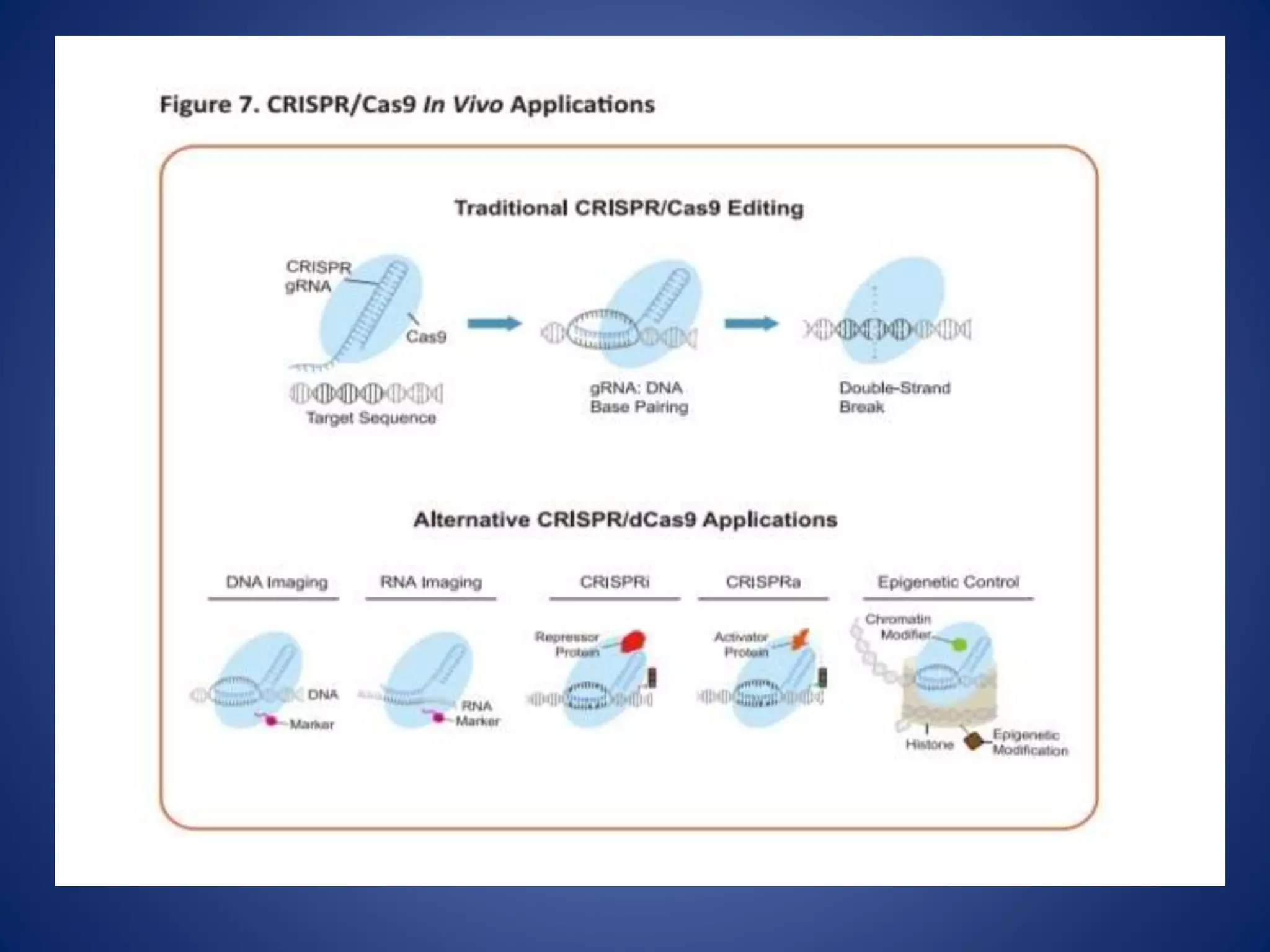CRISPR/CAS9- THE GENE EDITING TOOL | PPTX