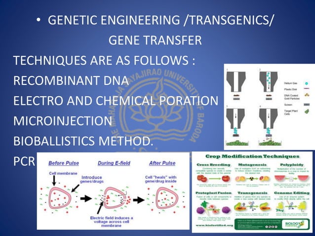 CRISPR/CAS9- THE GENE EDITING TOOL | PPTX | Programming Languages ...
