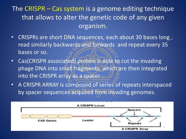 CRISPR/CAS9- THE GENE EDITING TOOL | PPTX | Programming Languages | Computing
