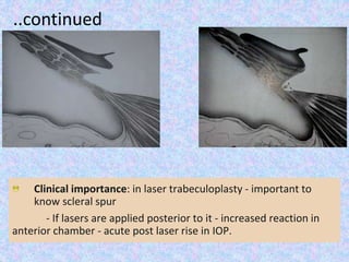 angle structure anatomy& IOP | PPTX