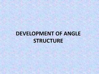 angle structure anatomy& IOP | PPTX