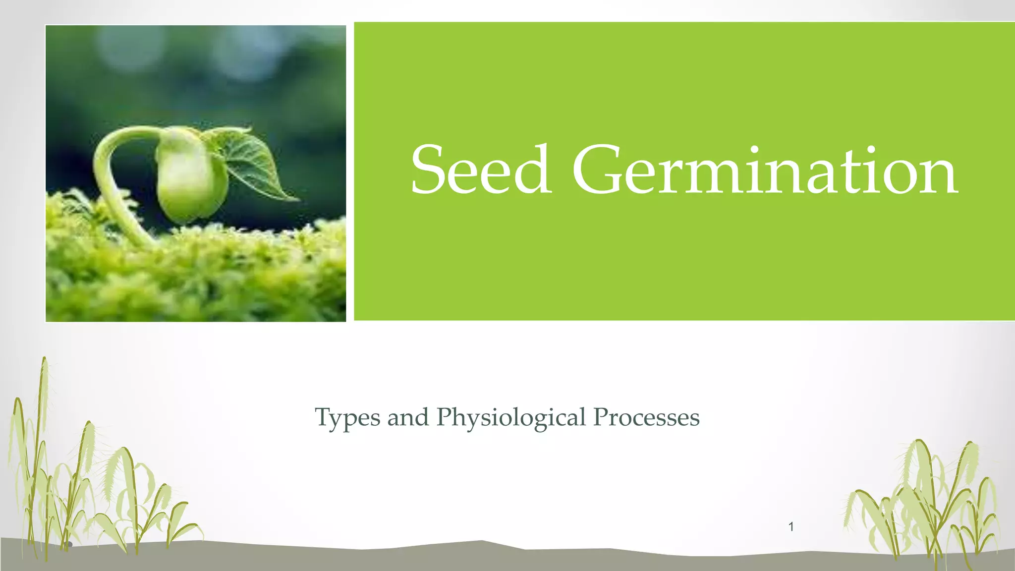 SEED GERMINATION | PPTX