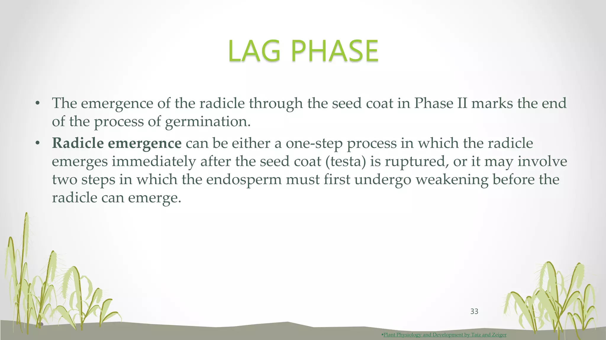 SEED GERMINATION | PPTX