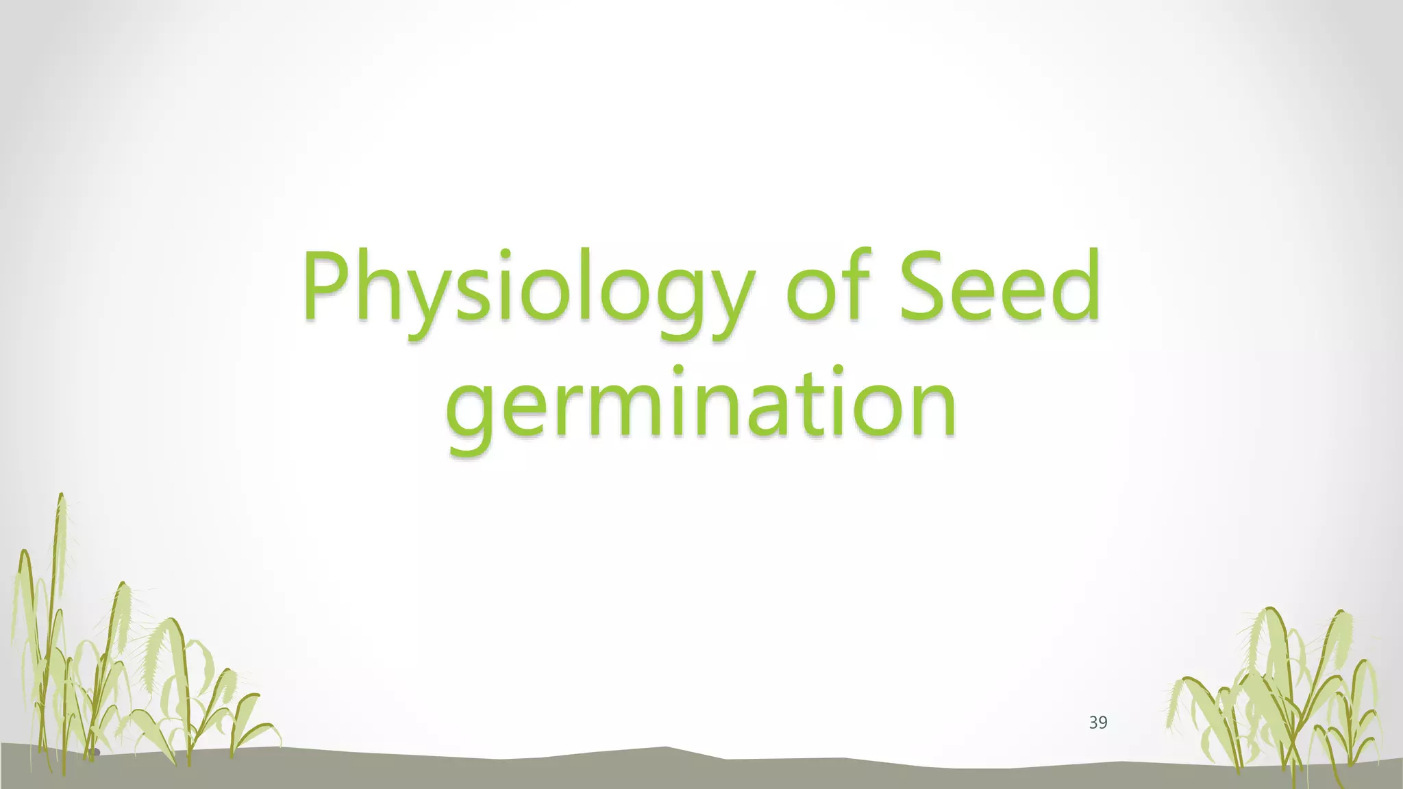 SEED GERMINATION | PPTX