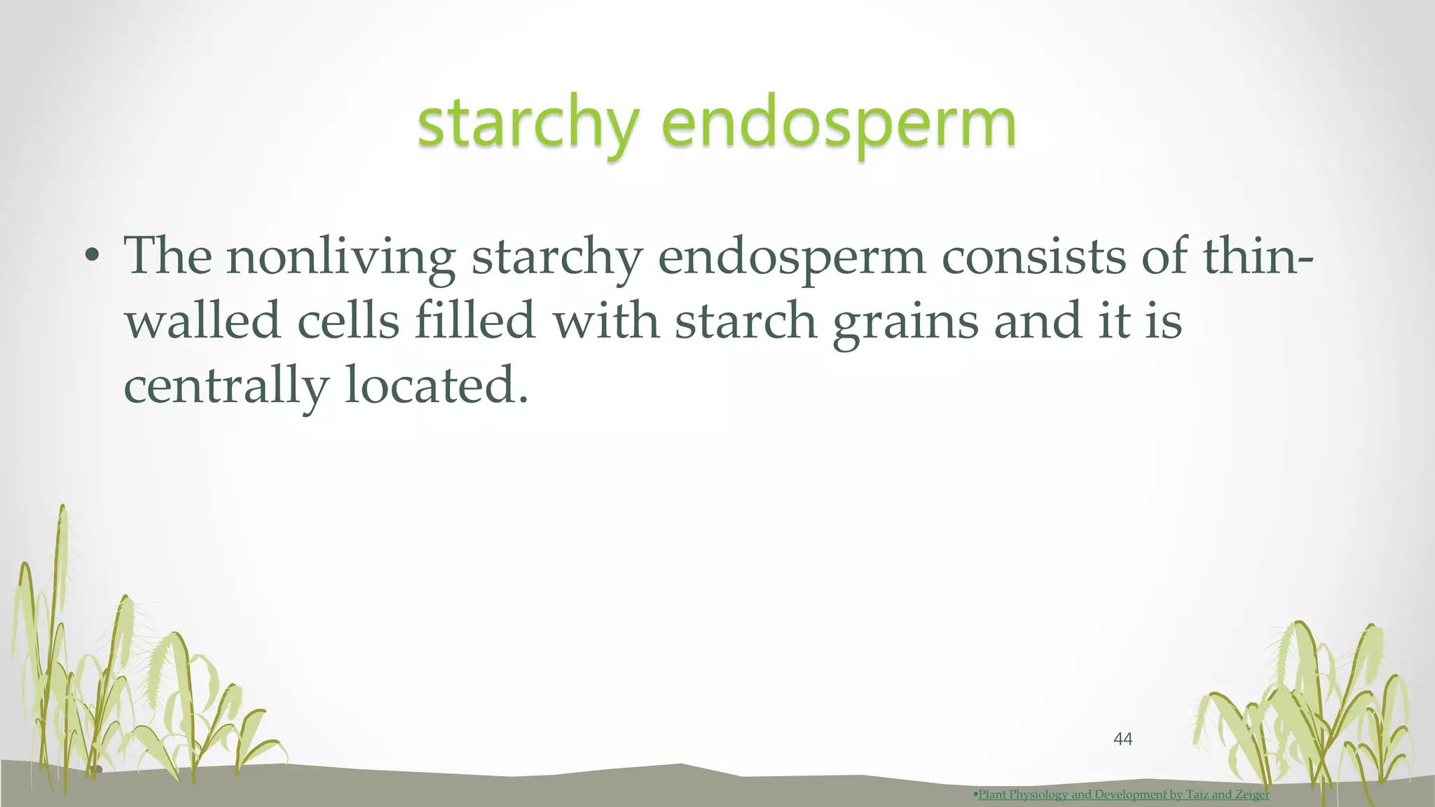 SEED GERMINATION | PPTX