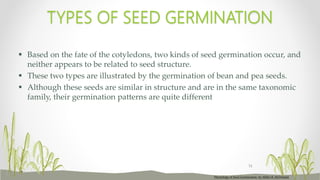 SEED GERMINATION | PPTX