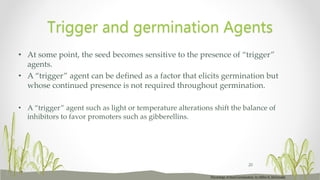 SEED GERMINATION | PPTX