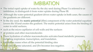 SEED GERMINATION | PPTX