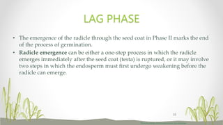 SEED GERMINATION | PPTX