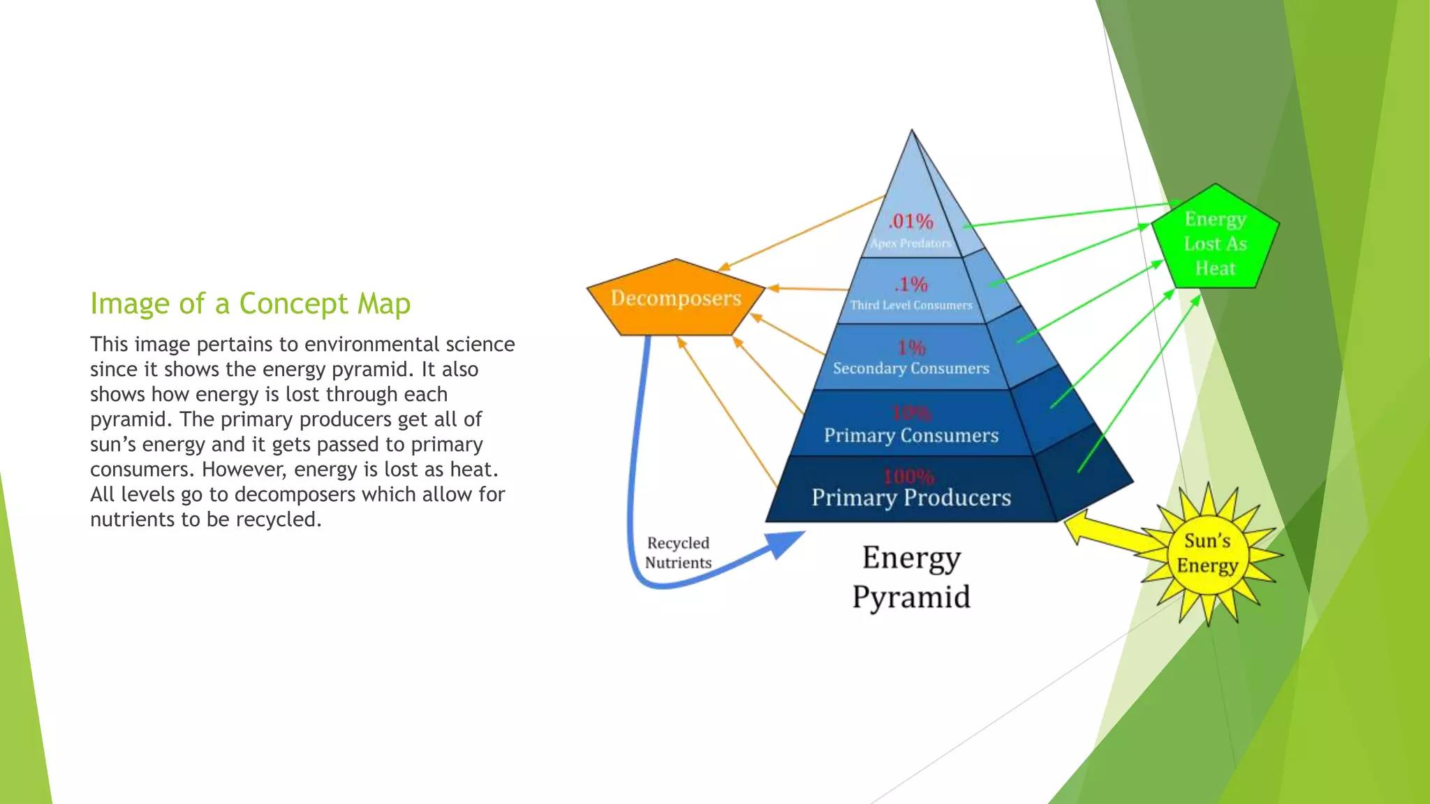 APES Final Project | PPTX