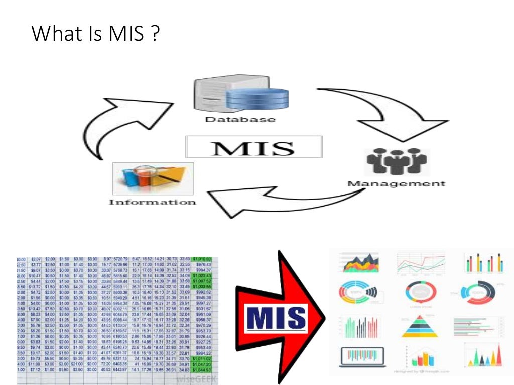 Development and Implementation of MIS and Information requirement