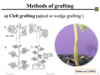 GRAFTING:A MULTIDIMENSIONAL APPROACH IN VEGETABLE CROP PRODUCTION. | PPT