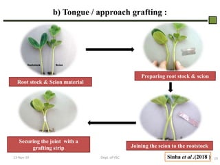 GRAFTING:A MULTIDIMENSIONAL APPROACH IN VEGETABLE CROP PRODUCTION. | PPT