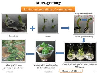 GRAFTING:A MULTIDIMENSIONAL APPROACH IN VEGETABLE CROP PRODUCTION. | PPT