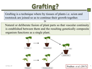 GRAFTING:A MULTIDIMENSIONAL APPROACH IN VEGETABLE CROP PRODUCTION. | PPT