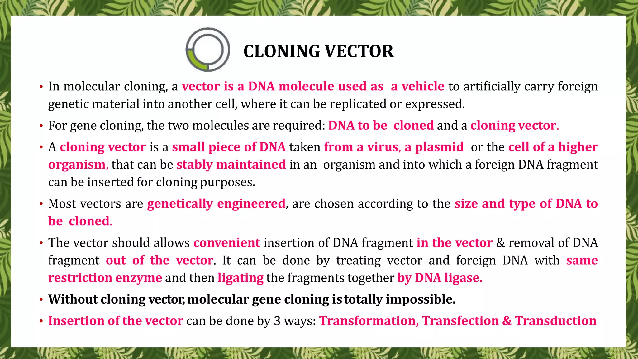 Cloning vectors | PPTX