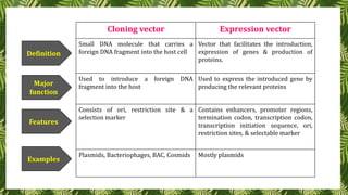 Cloning vectors | PPT