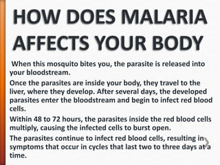 MALARIA | PPTX