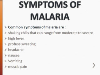 MALARIA | PPTX