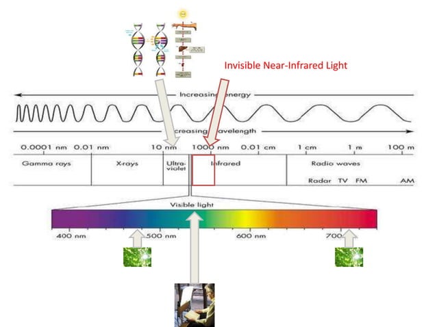 Photobiomodulation for Depression: Roadmap Towards Dose-Definition | PPTX