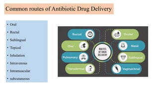 Nanotechnology Drug delivery systems for antibacterial treatments | PPT