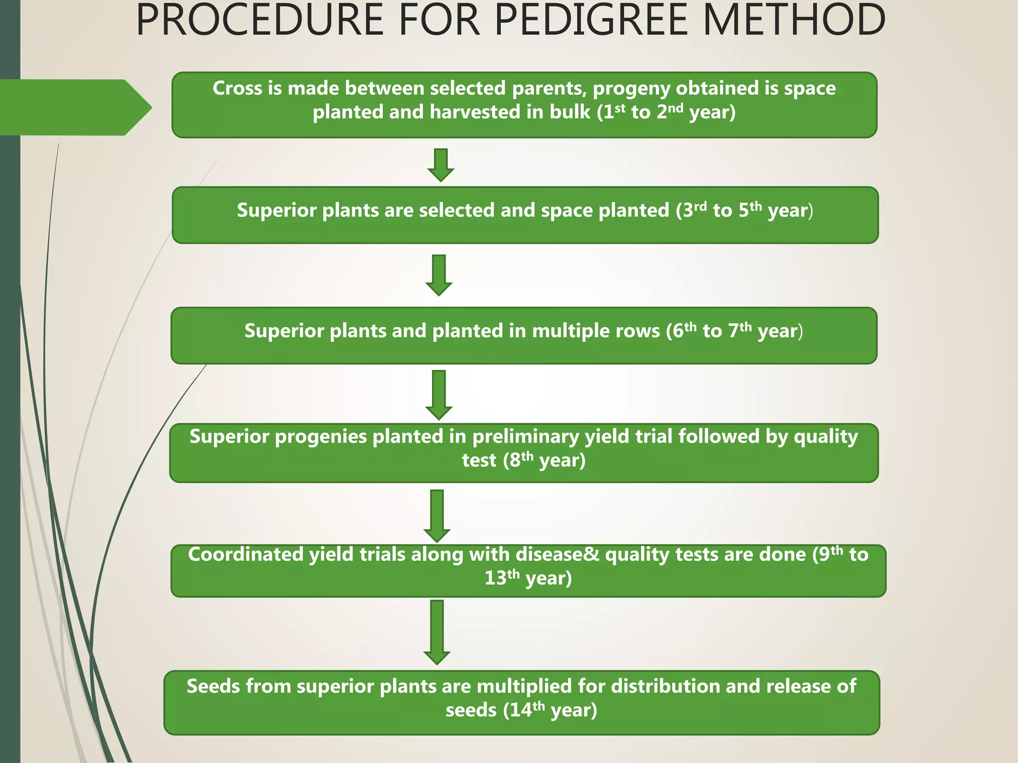 pedigree method | PPTX
