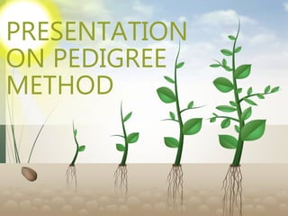 pedigree method | PPTX