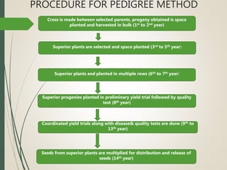 pedigree method | PPTX