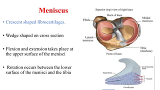 MRI PROCEDURE OF KNEE AND ANKLE JOINT | PPTX