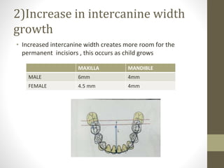 Development of occlusion | PPTX