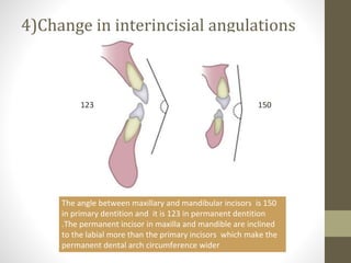Development of occlusion | PPT