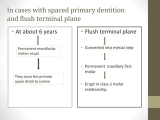 Development of occlusion | PPT