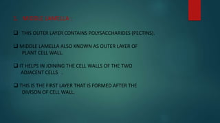 cell wall structure and function | PPTX