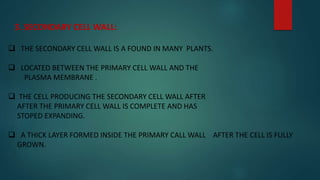 cell wall structure and function | PPTX