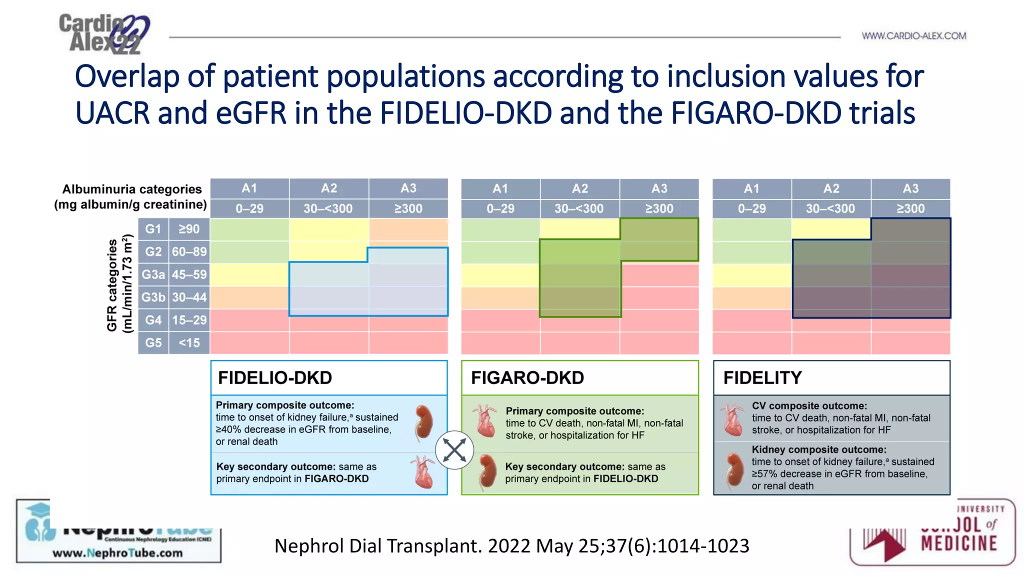 Insights from the FIGARO-DKD and FIDELIO-DKD trials - Dr. Gawad | PDF