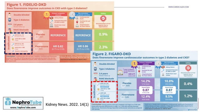 Insights from the FIGARO-DKD and FIDELIO-DKD trials - Dr. Gawad | PDF