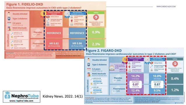 Insights from the FIGARO-DKD and FIDELIO-DKD trials - Dr. Gawad | PDF