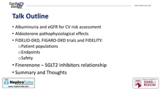 Insights from the FIGARO-DKD and FIDELIO-DKD trials - Dr. Gawad | PDF