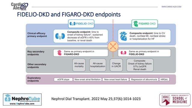 Insights from the FIGARO-DKD and FIDELIO-DKD trials - Dr. Gawad