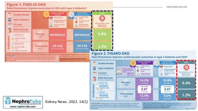Insights from the FIGARO-DKD and FIDELIO-DKD trials - Dr. Gawad